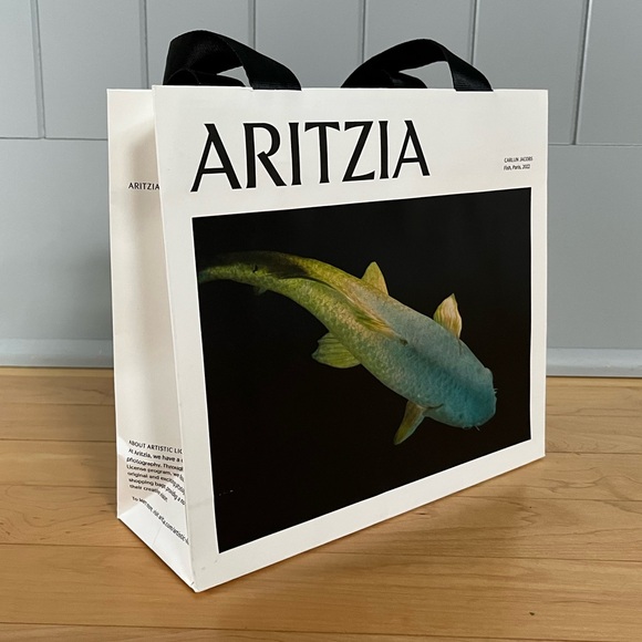 Aritzia | Bags | Aritzia Art Print Paper Bag | Poshmark